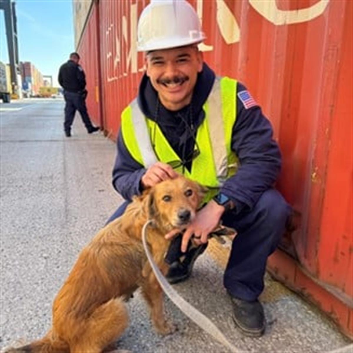 Lucky Pup! Coast Guard Saves Dog Trapped in Port of Houston Shipping ...