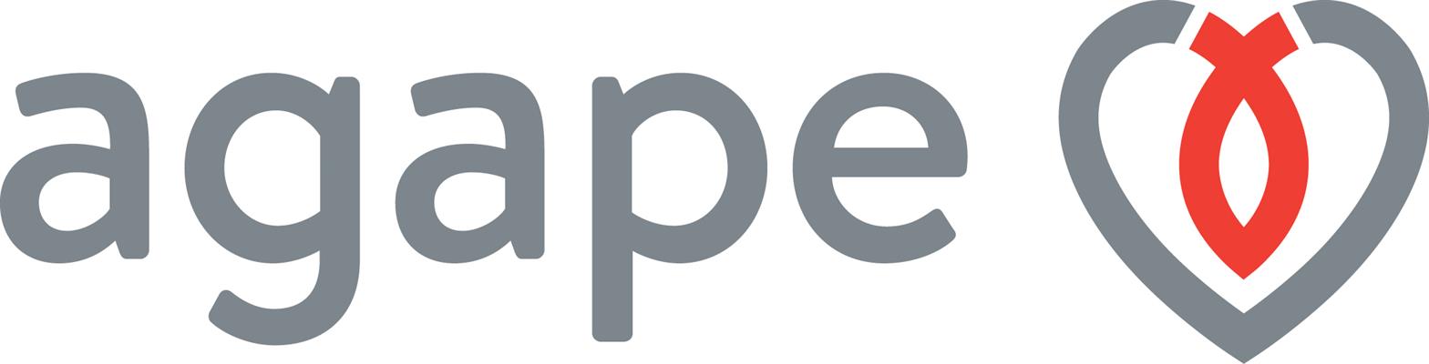 AGAPE CHILD & FAMILY SERVICES ANNOUNCES NEW TEAM MEMBERS, BOARD AND ...