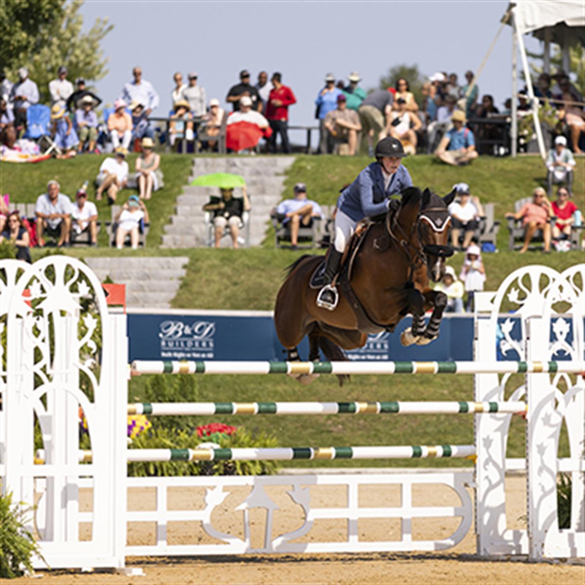 Tickets Now Available for 2025 Traverse City Horse Shows - News