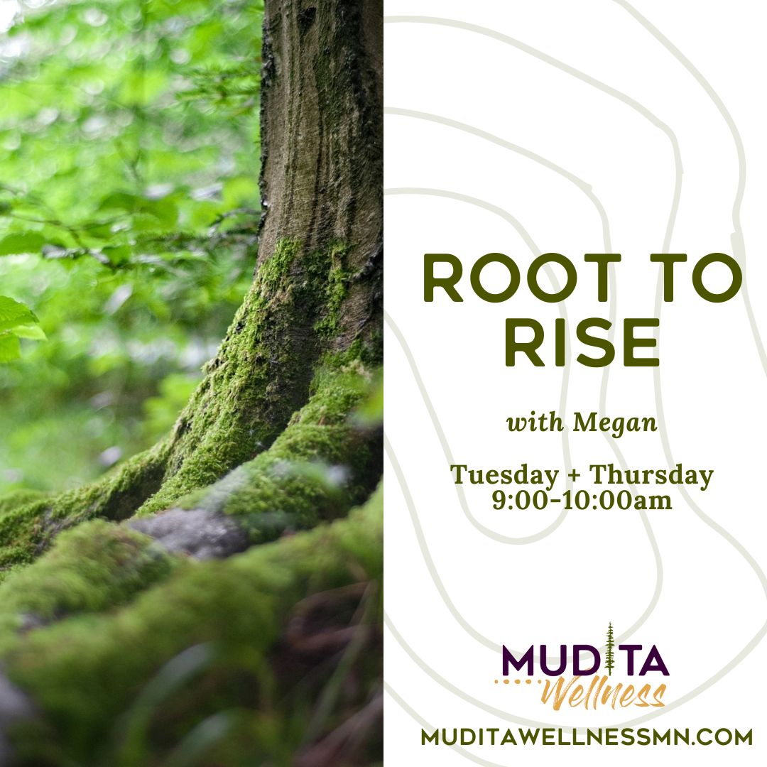 Root to Rise Yoga - Oct 23, 2025 - Greater Stillwater Chamber of ...