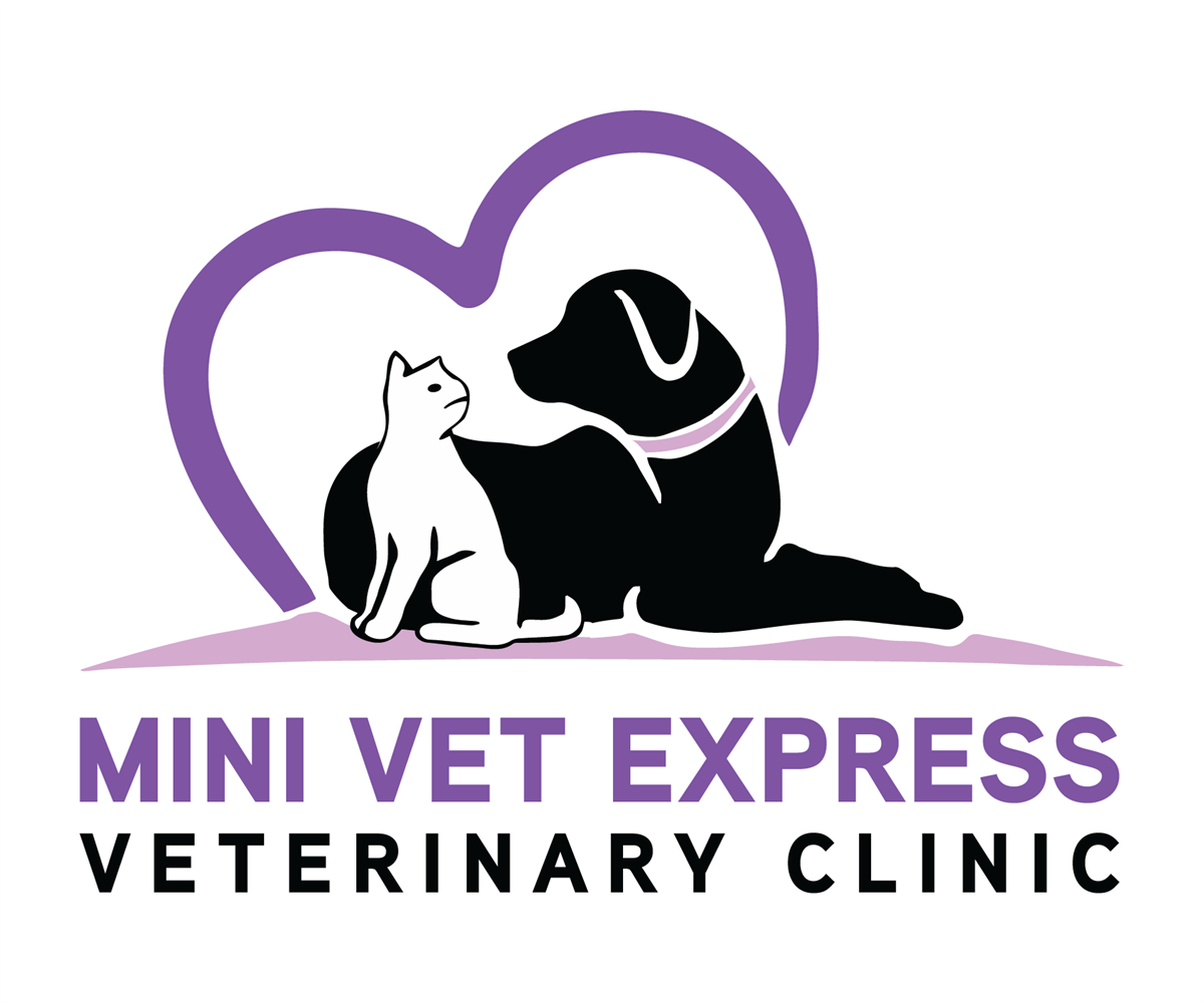 Mini Vet Express - Student Special at Mini Vet Express! - Hot Deal
