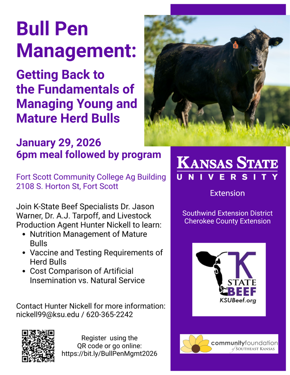 Bull Pen Management: Getting Back to the Fundamentals of Managing Young ...