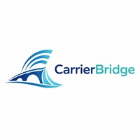 CarrierBridge Consulting | Telecommunications - About Us | The African ...
