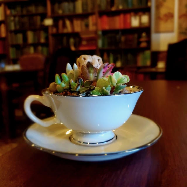 Member hosted event: Build Your Own Tea-rarium with PLUSH MOON ...