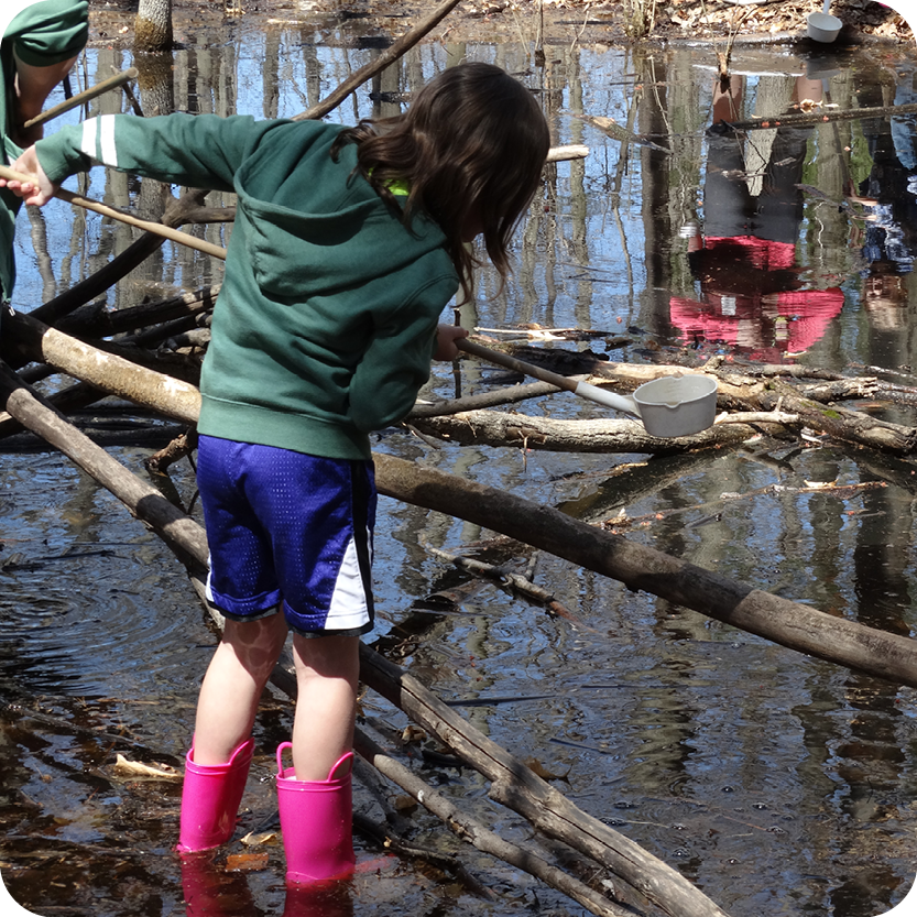 Vernal Pool Exploration - Apr 22, 2026 - Bay Area Chamber of Commerce, MI