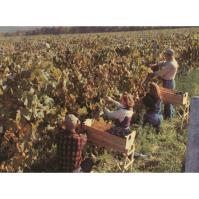 Community News - Yates County Chamber of Commerce