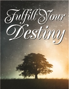 Fulfill Your Destiny $1,000 Business Builder Grants - Blog