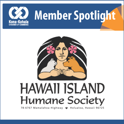 Hawaii Island Humane Society 26th Tropical Paws - News - Kona-Kohala ...