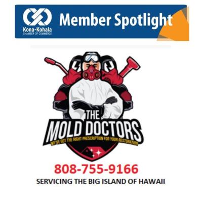The Mold Doctors Now Offering Disinfecting and Sanitizing Services ...
