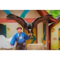 Press Release - Culpeper Chamber of Commerce