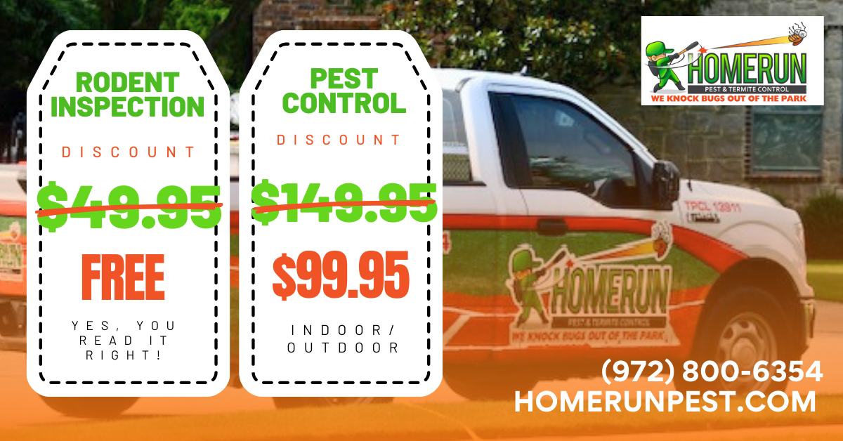 HOME RUN PEST & TERMITE CONTROL - FREE Rodent Inspection AND $50 OFF ...