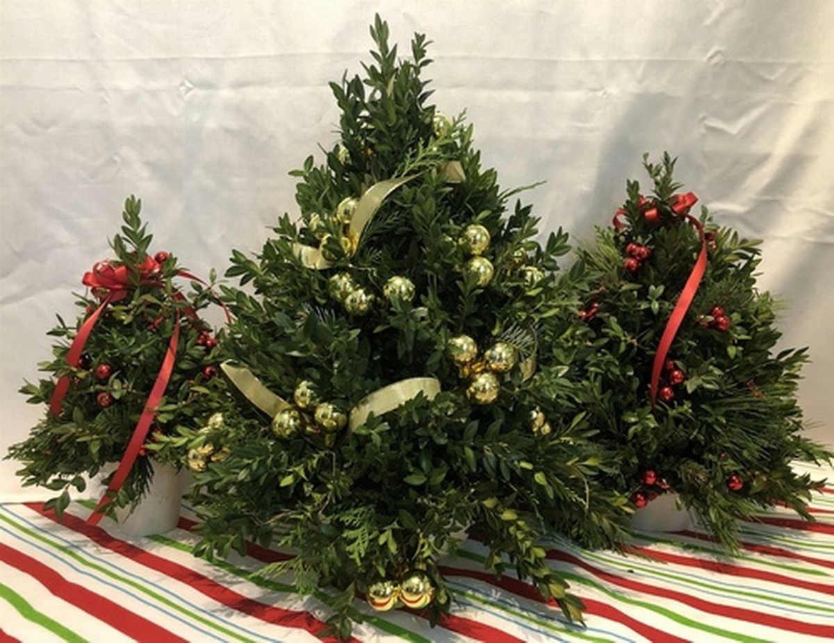 Magic of a Mini Table-Top Christmas Tree Workshop - Dec 10, 2025 ...