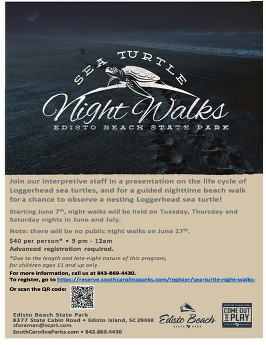 Sea Turtle Night Walks - Jul 5, 2025 to Jul 6, 2025