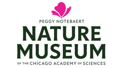 Family Block Printing Workshop at the Peggy Notebaert Nature Museum ...