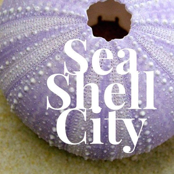 Sea Shell City, Inc. - 10% Off and Free Shell Necklace! - Member To ...