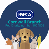 RSPCA Cornwall Branch | Charity / Social Enterprises / Not for Profit ...