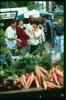 Northampton Saturday Farmers Market | Farmer's Markets | Locally Grown ...