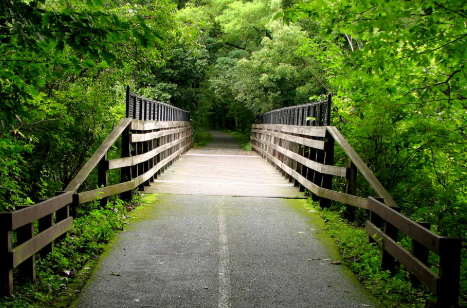 Norwottuck Rail Trail